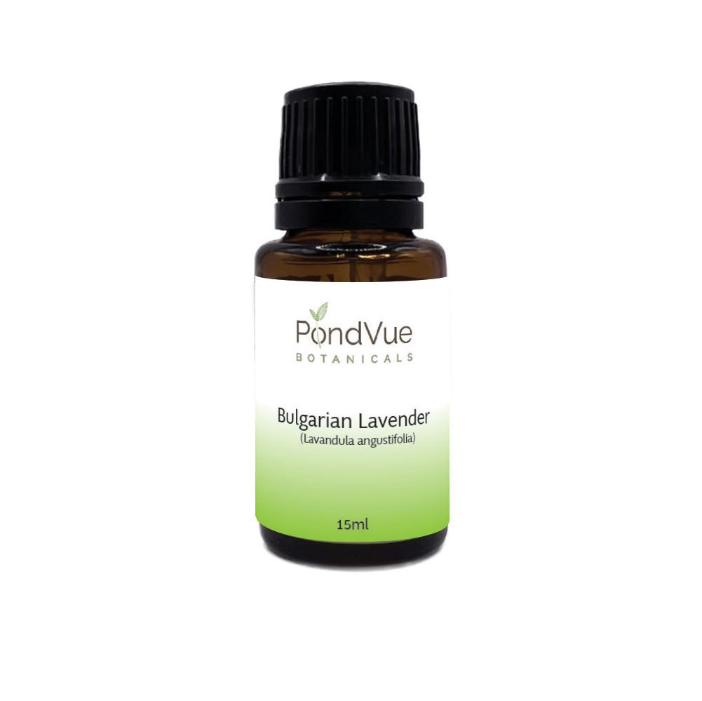 Bulgarian Lavender - PondVue